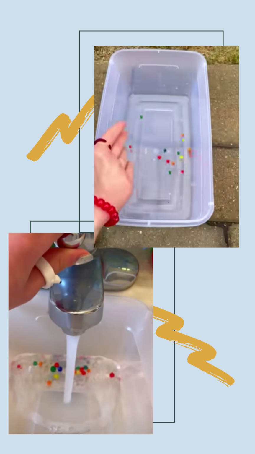 Orbeez Growth Experiment: Fun and Easy